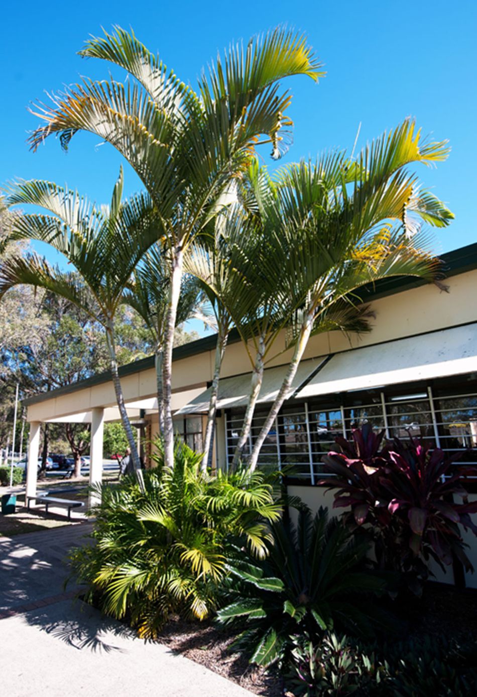 Bribie Island State High School in Australien | TravelWorks